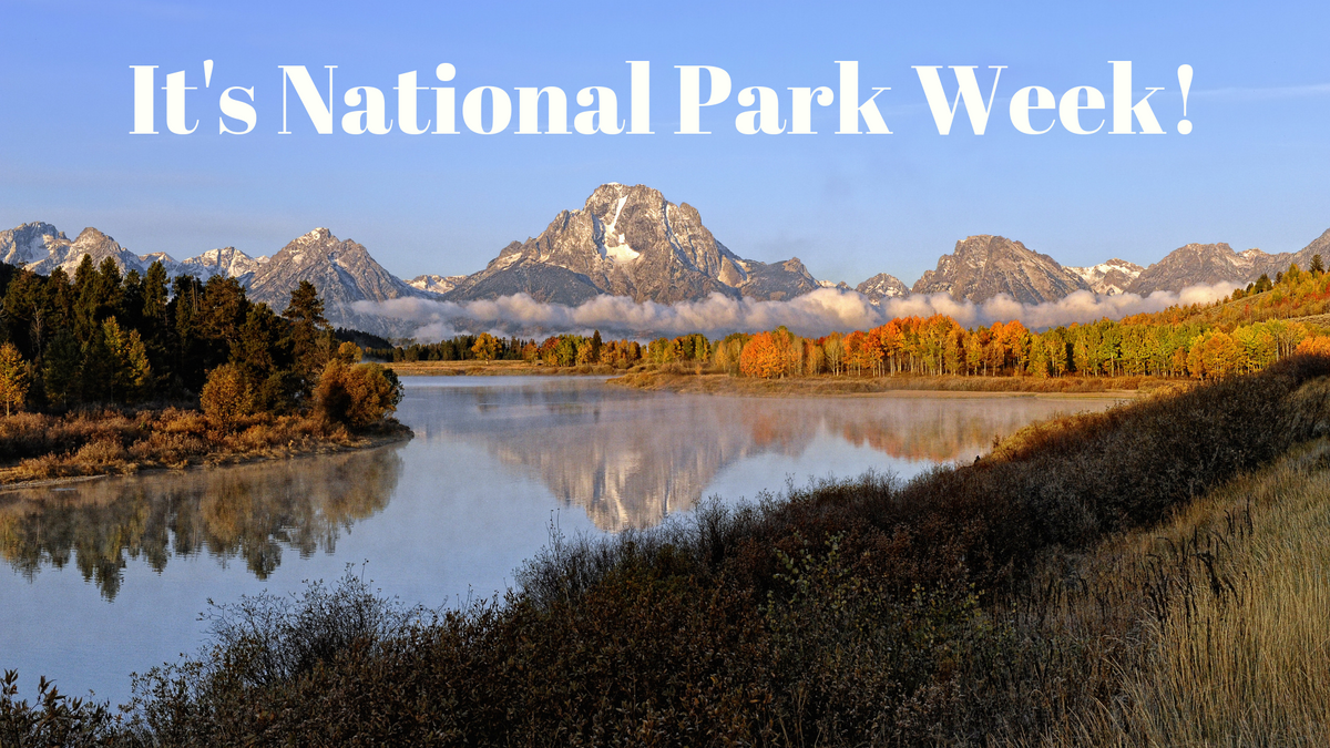 It's National Park Week! – CampingCot.com